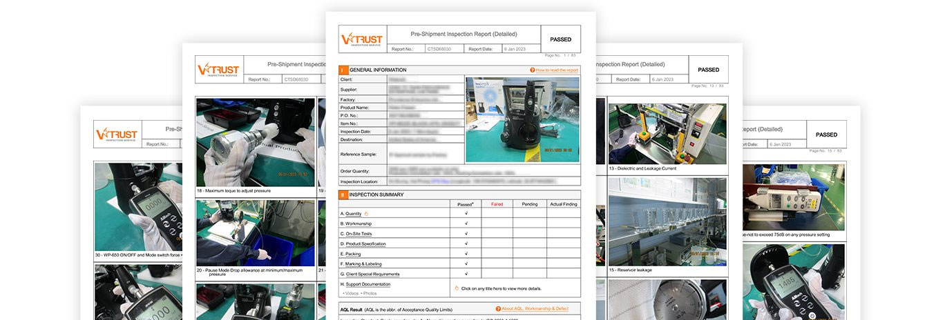 Sample Reports | V-Trust